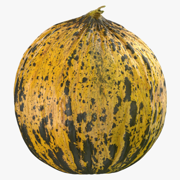 3D turkish melon 01 - TurboSquid 1528666