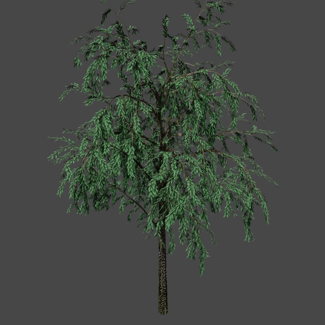 3D tree pbr - TurboSquid 1528831
