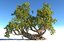 Tree hd 3D model - TurboSquid 1529803