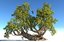 Tree hd 3D model - TurboSquid 1529803