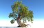 Tree hd 3D model - TurboSquid 1529803