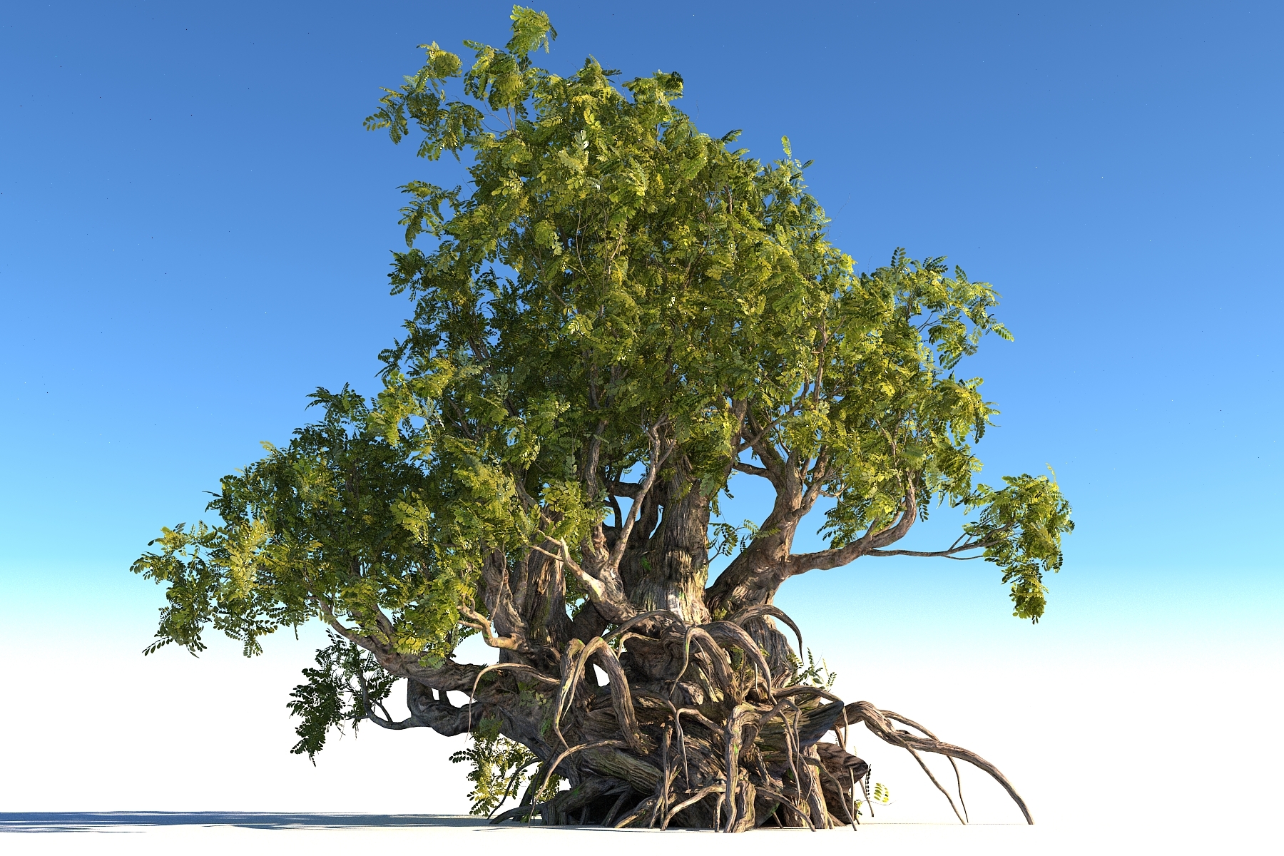 Tree hd 3D model - TurboSquid 1529803