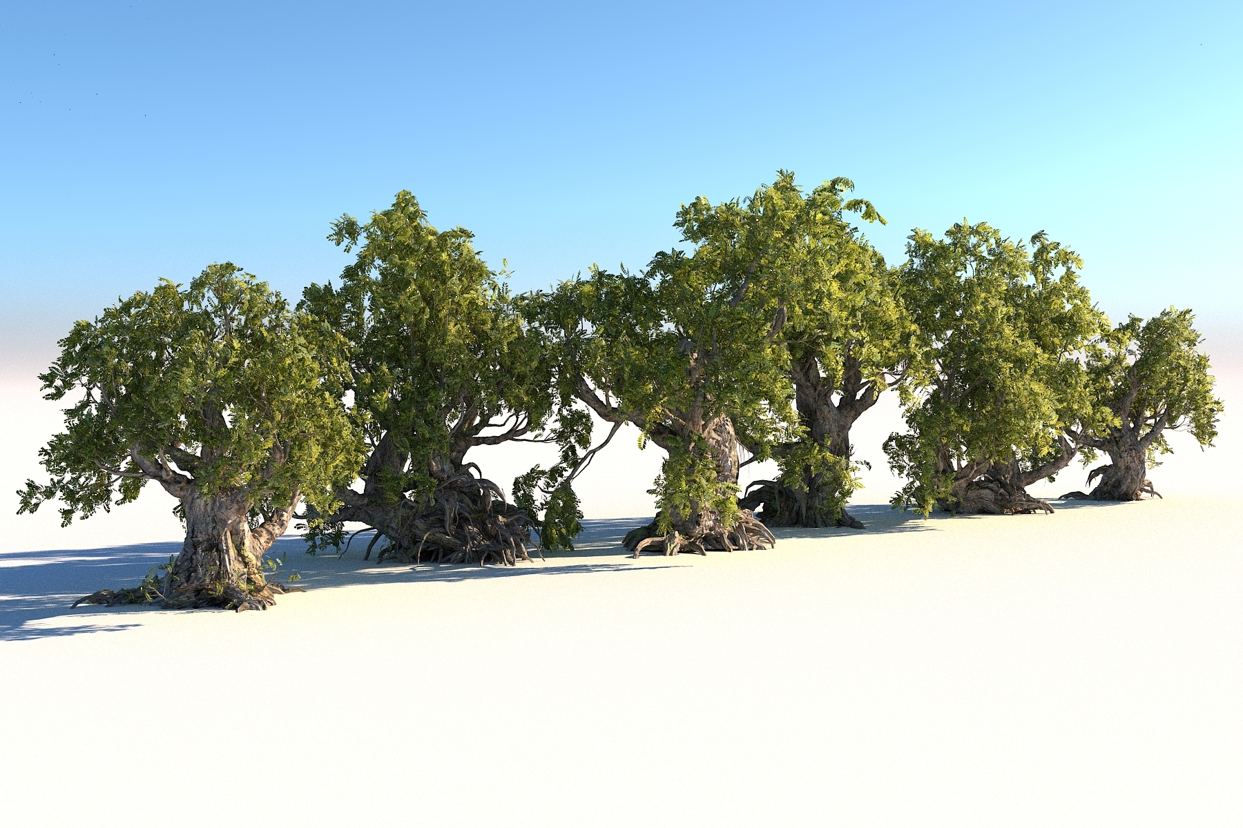 Tree hd 3D model - TurboSquid 1529803