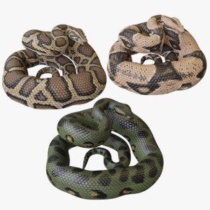 Snake Blender Models for Download | TurboSquid