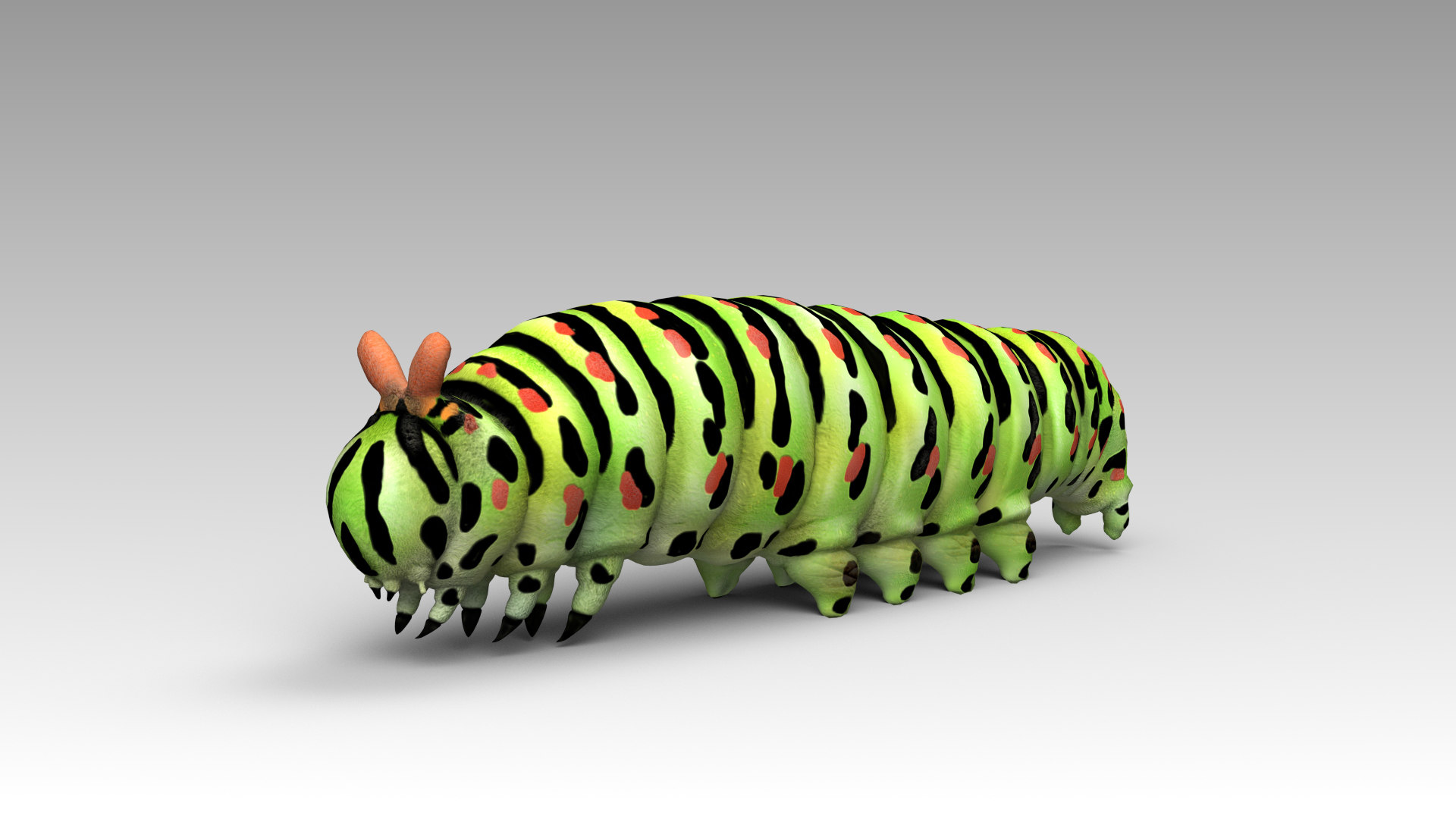 3d model caterpillar