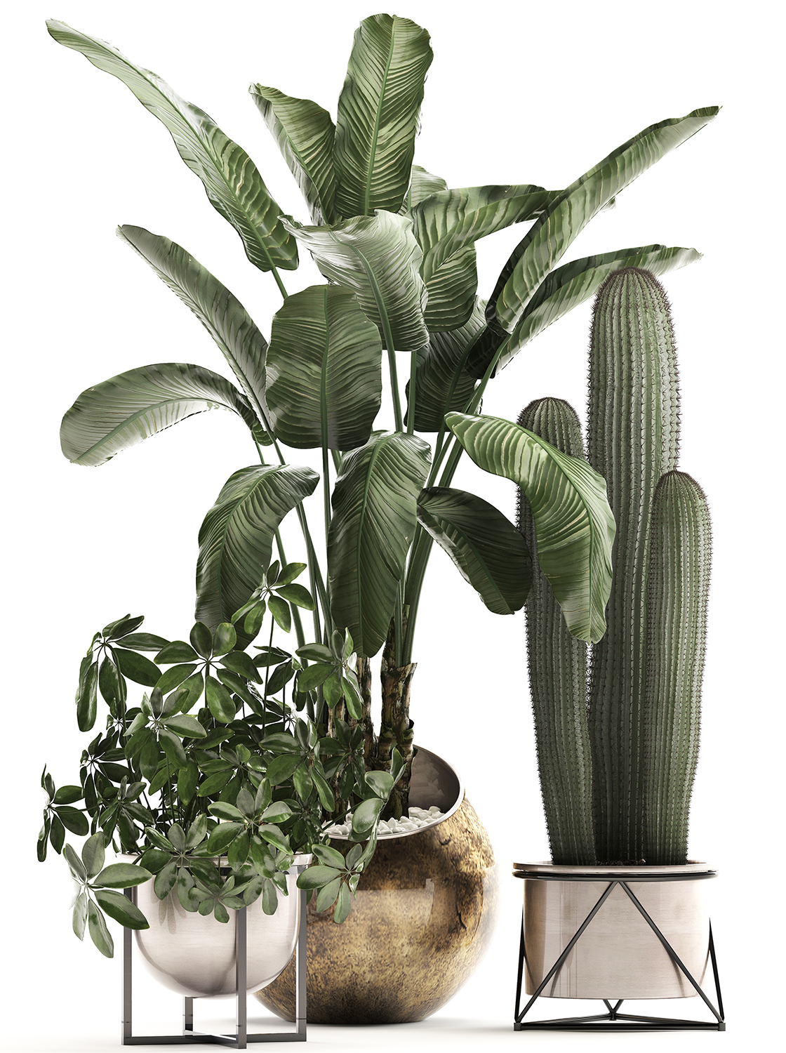 3D exotic plants potted - TurboSquid 1531496