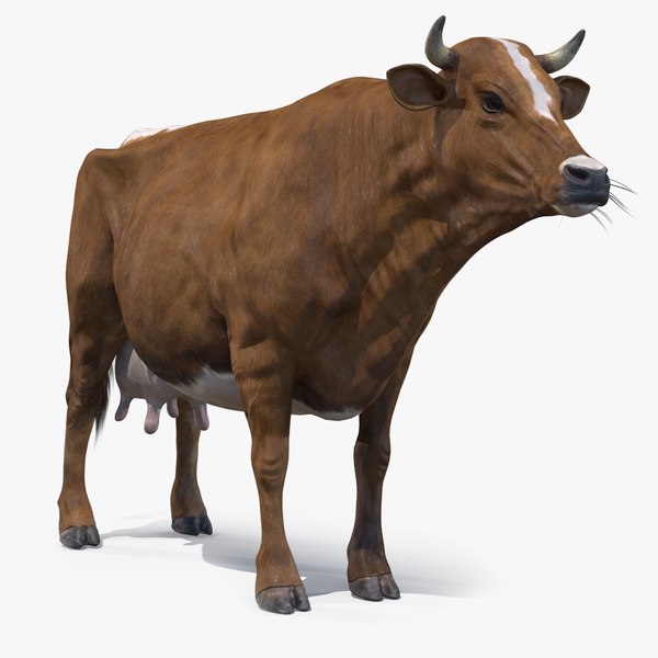 Cow 3D Models for Download | TurboSquid