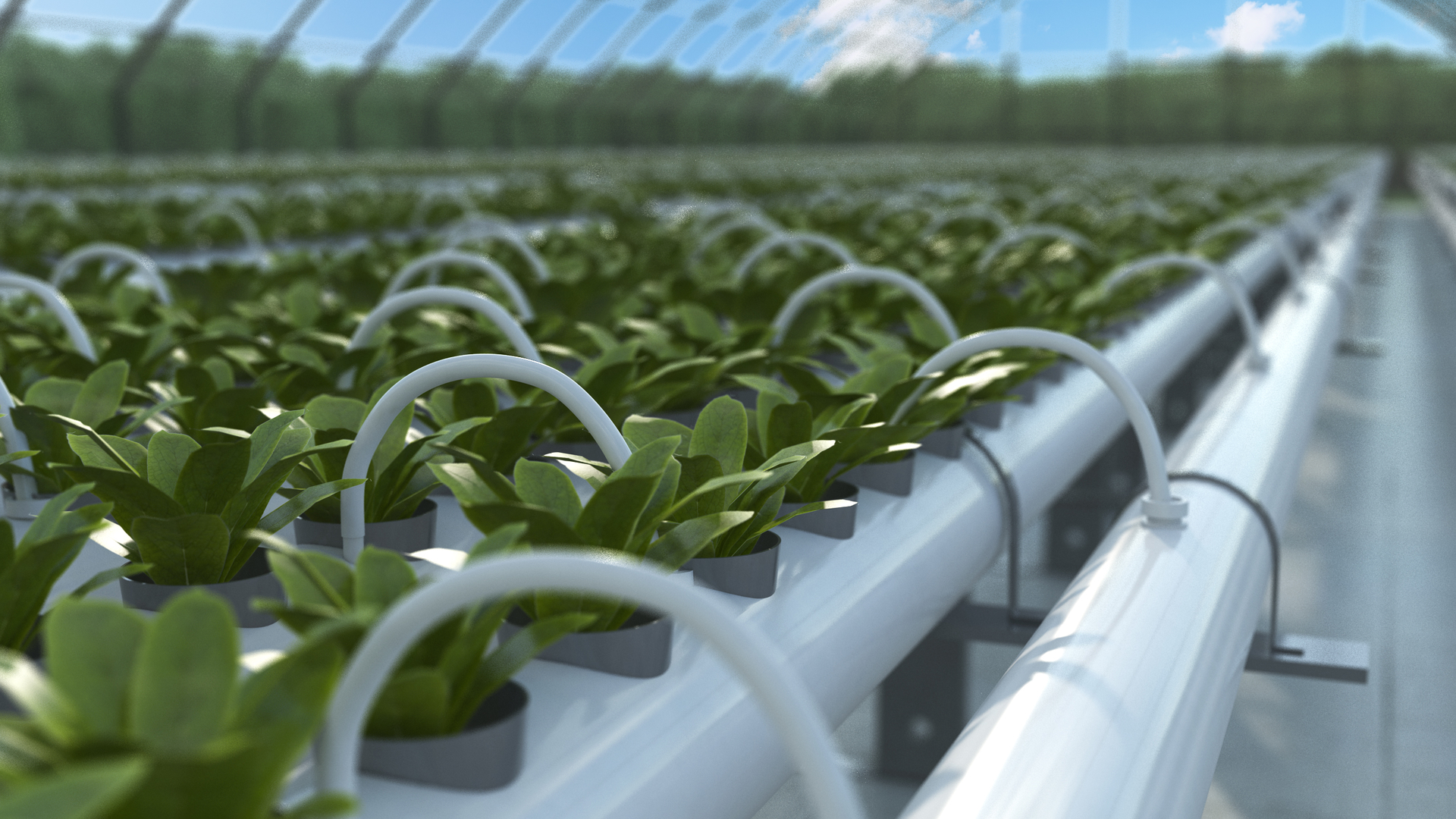 3D model hydroponics farm - TurboSquid 1532304