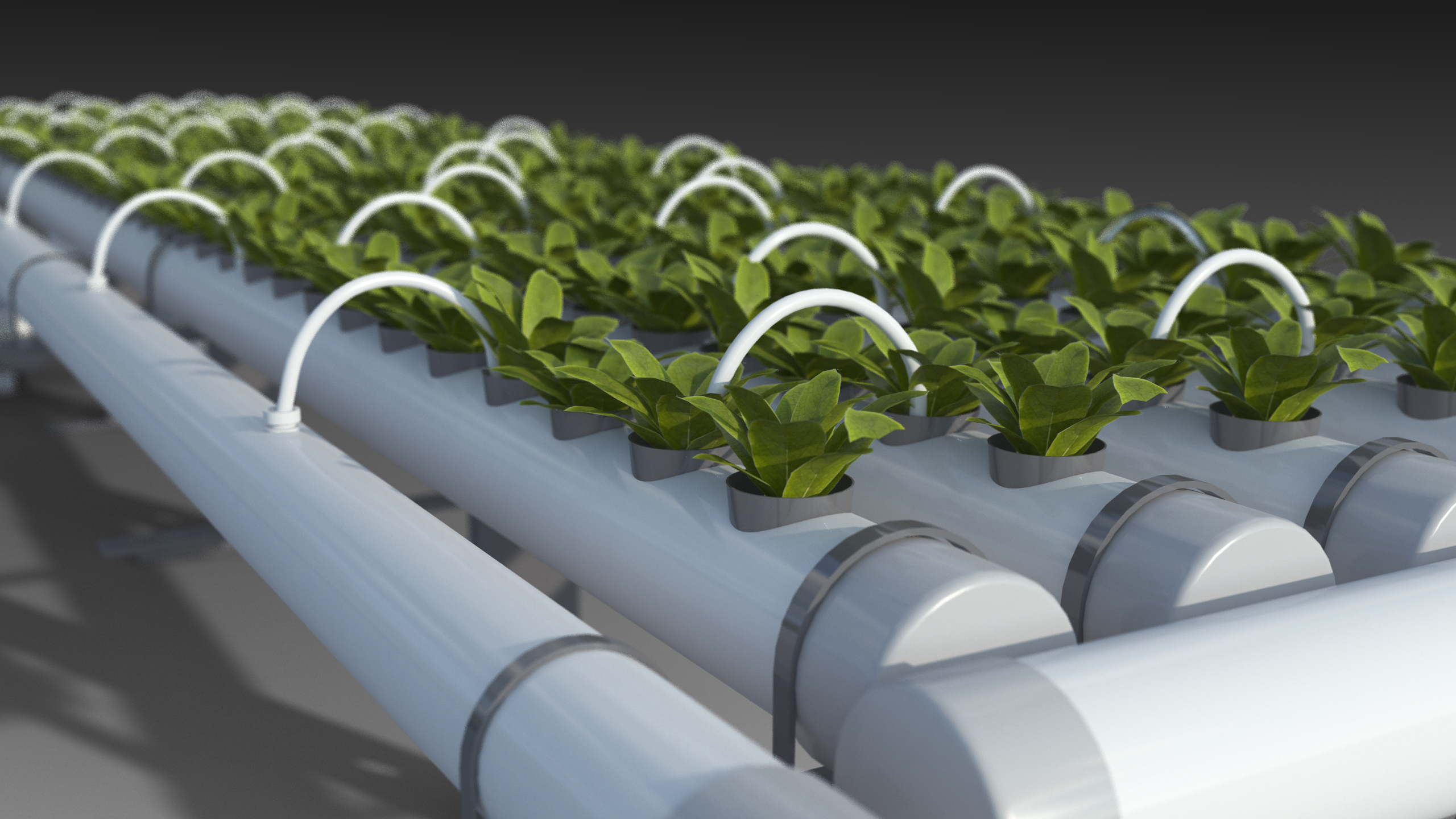 Hydroponics farm 3D - TurboSquid 1532723