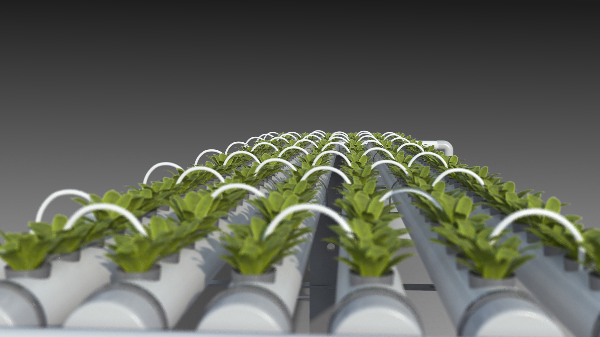 Hydroponics farm 3D - TurboSquid 1532723
