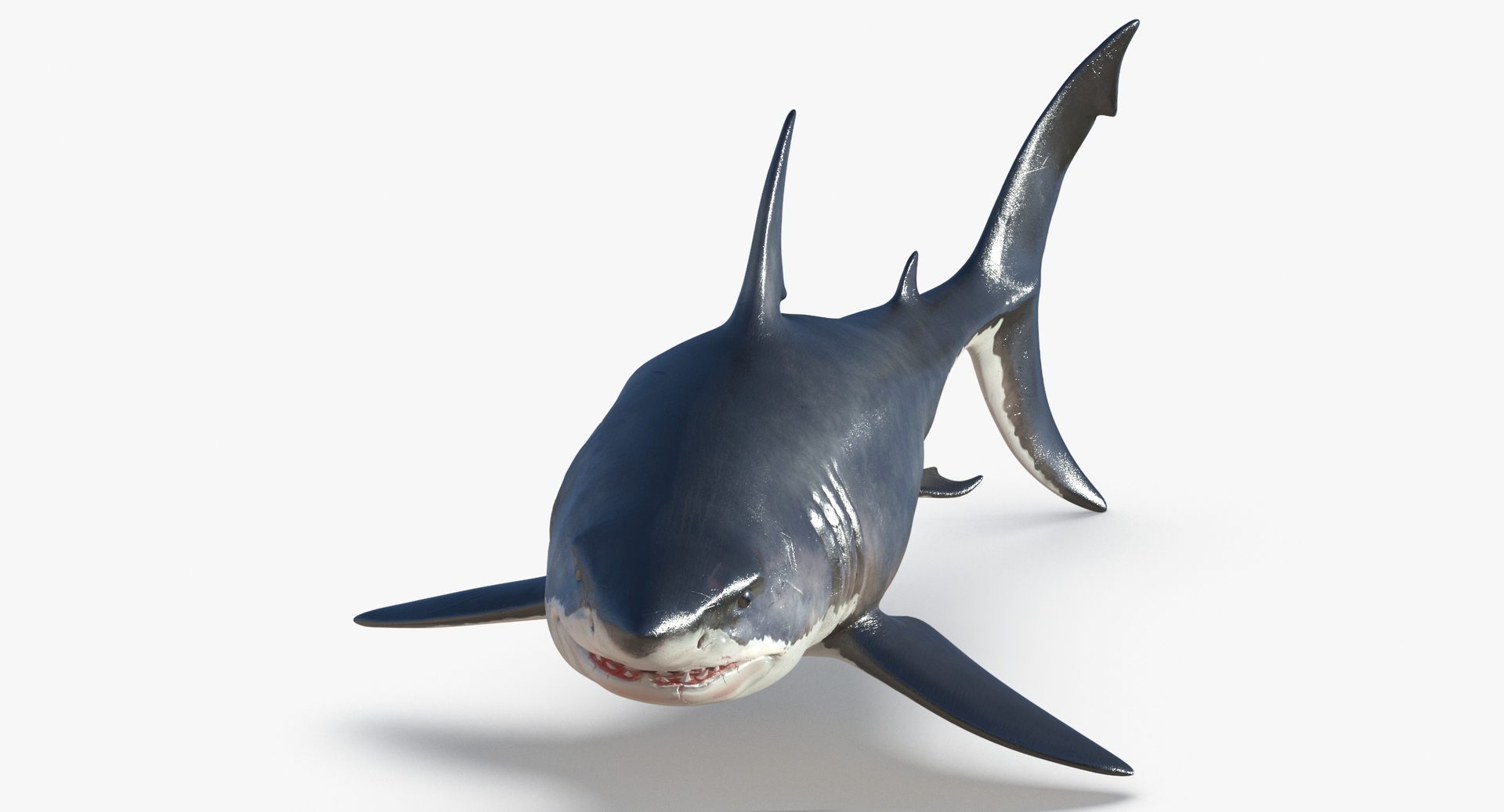 Great White Shark Poses Modelo 3D - TurboSquid 1566694