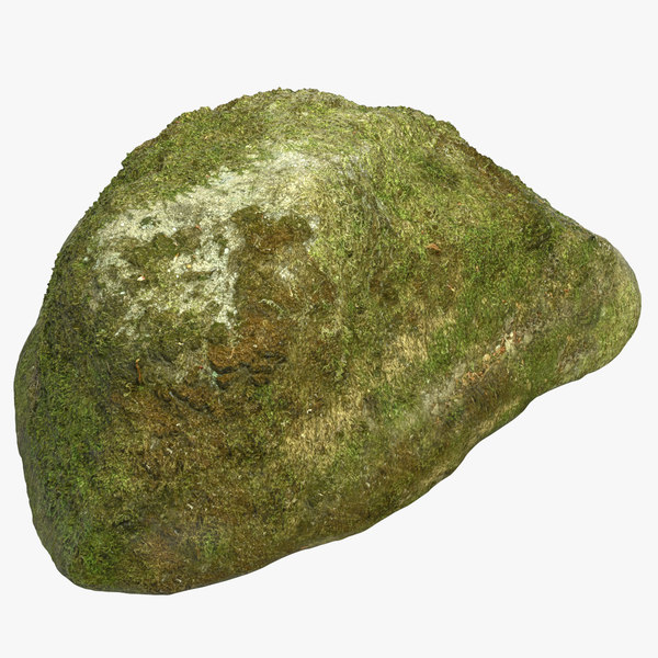 3D Moss Models | TurboSquid