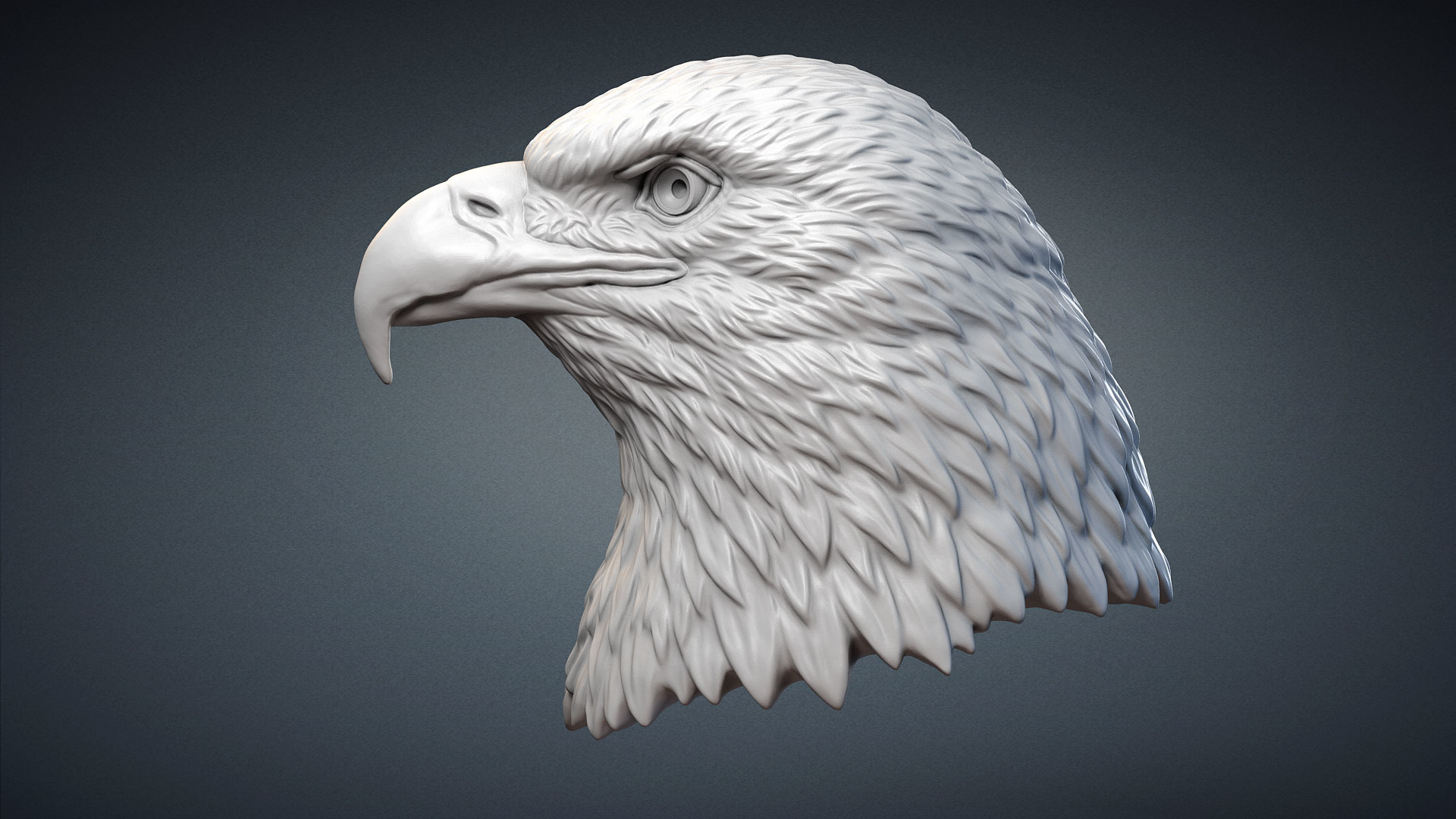 American bald eagle bird 3D model - TurboSquid 1533028