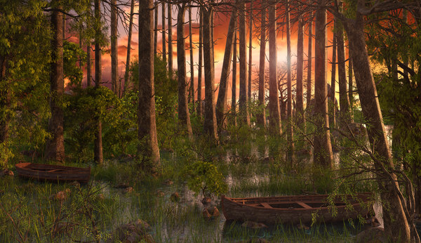 3D Swamp Models | TurboSquid