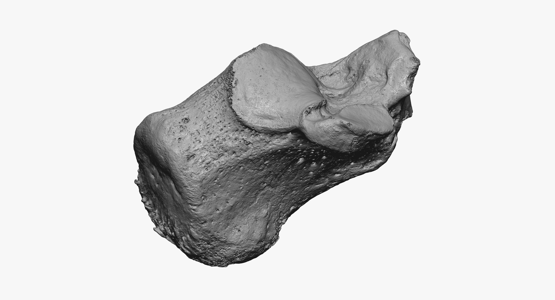 Calcaneus bone 01 raw 3D model - TurboSquid 1533744