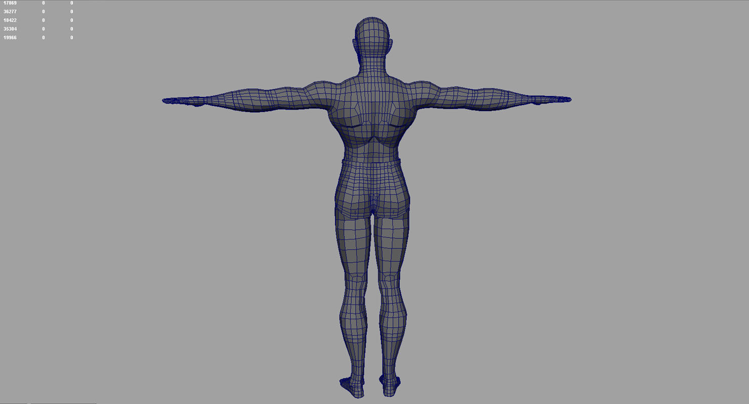 Human body 3D model - TurboSquid 1533896