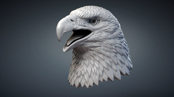 3D american bald eagle bird model - TurboSquid 1534356