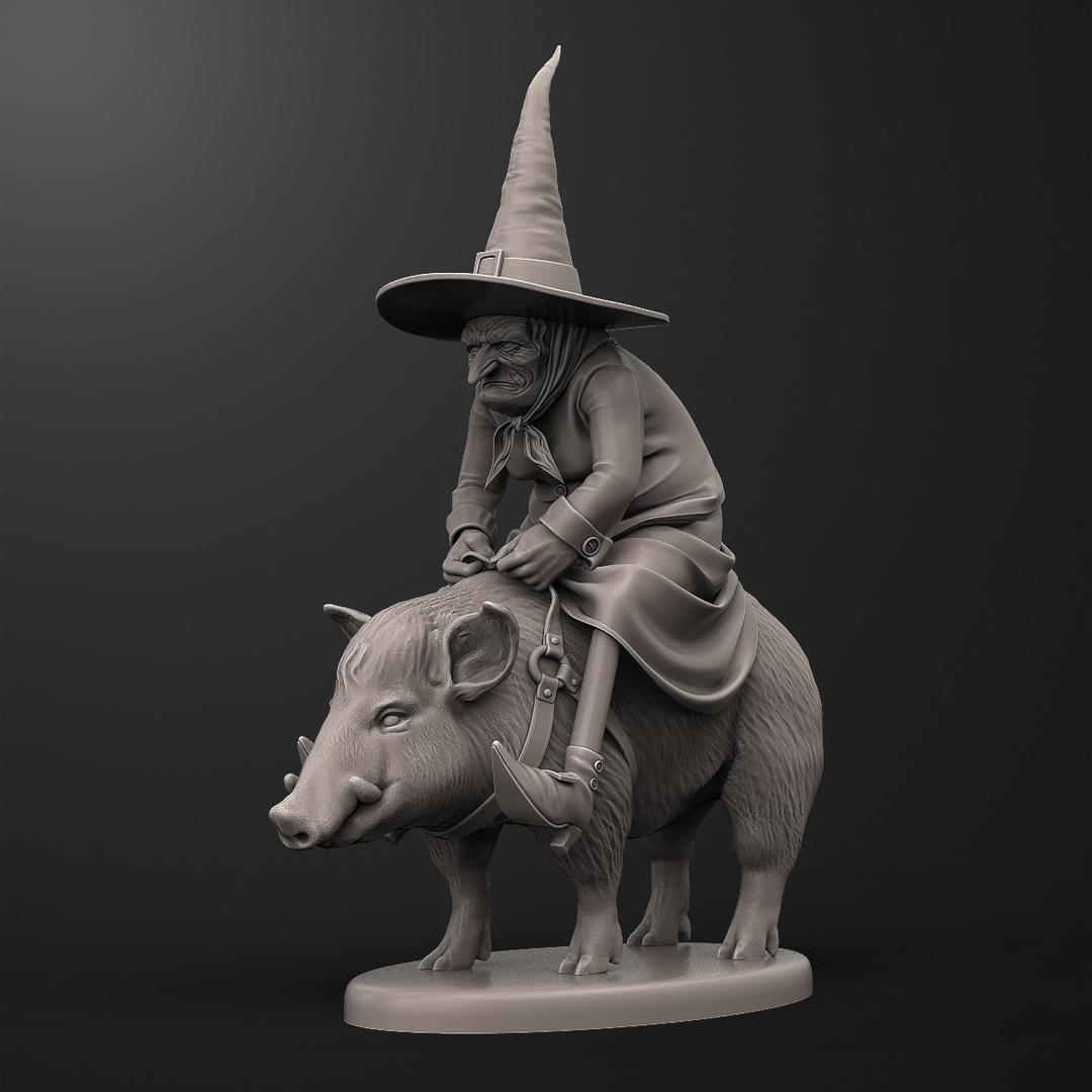 Witch ride pig print 3D model - TurboSquid 1534370