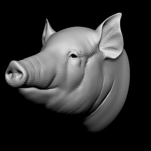 Pig 3D Models for Download | TurboSquid