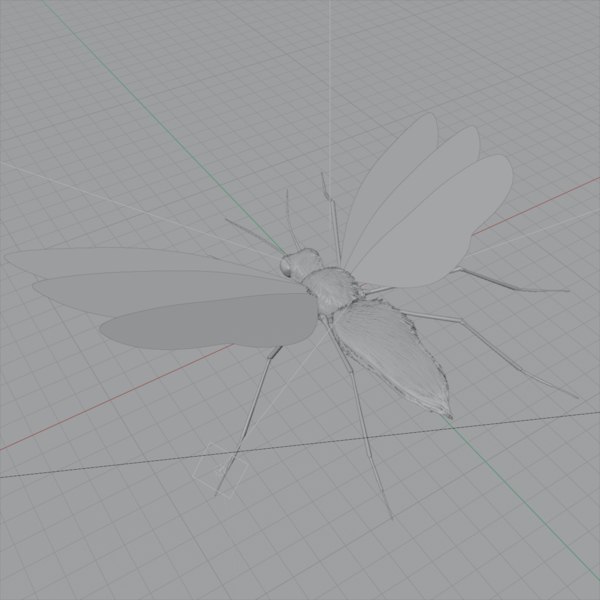 Free insect concept 3D model - TurboSquid 1534565
