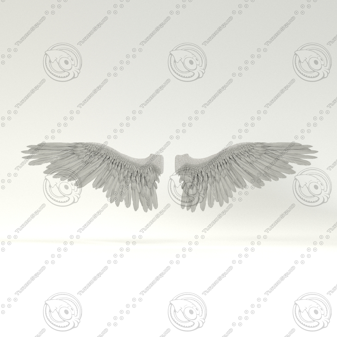 3d fully rigged bird wings