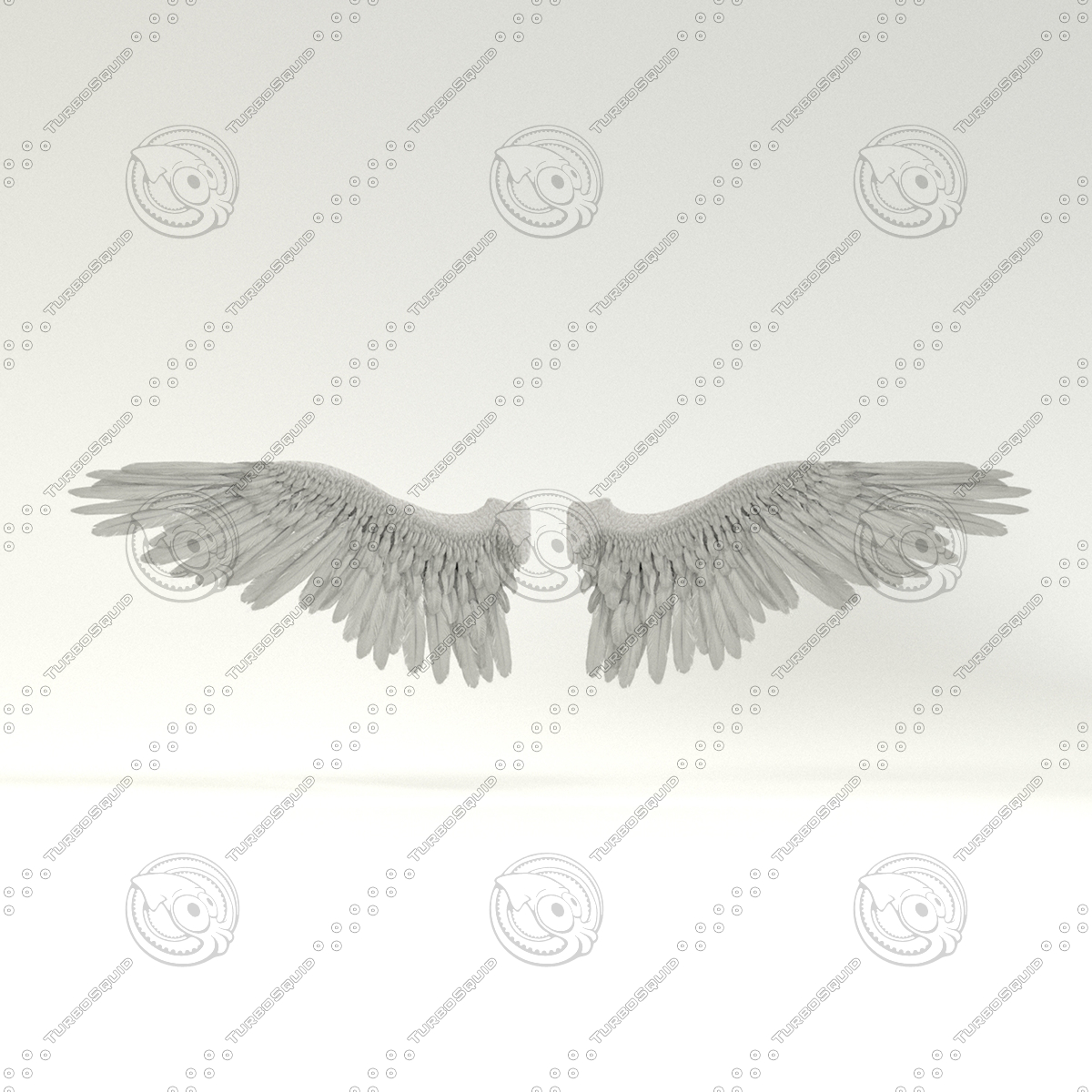 3d fully rigged bird wings