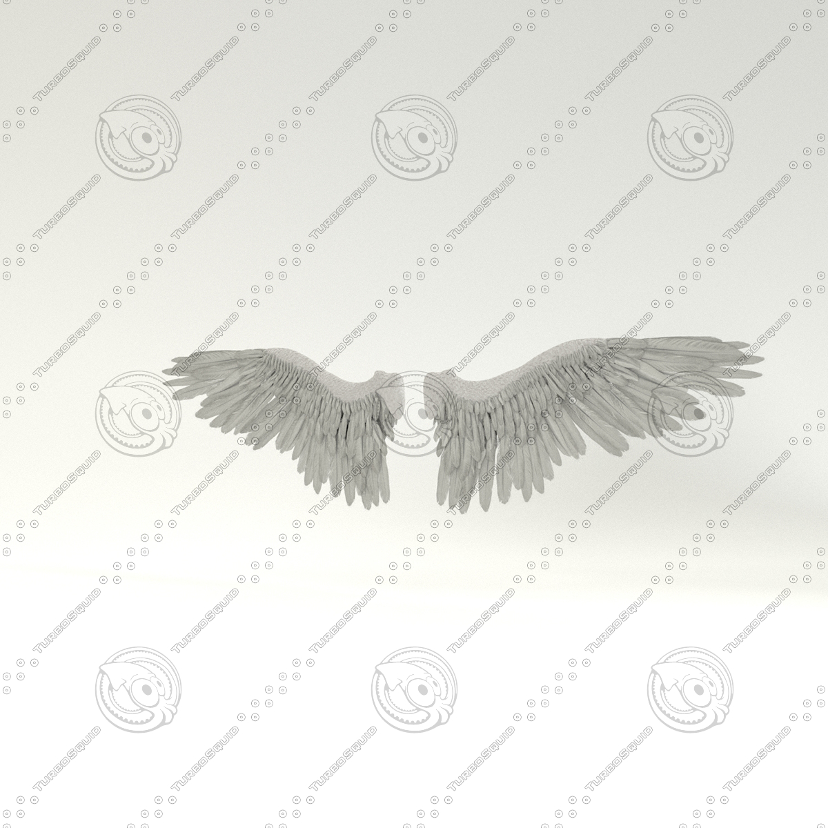 3d fully rigged bird wings