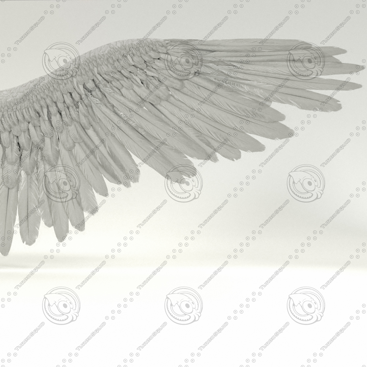 3d fully rigged bird wings