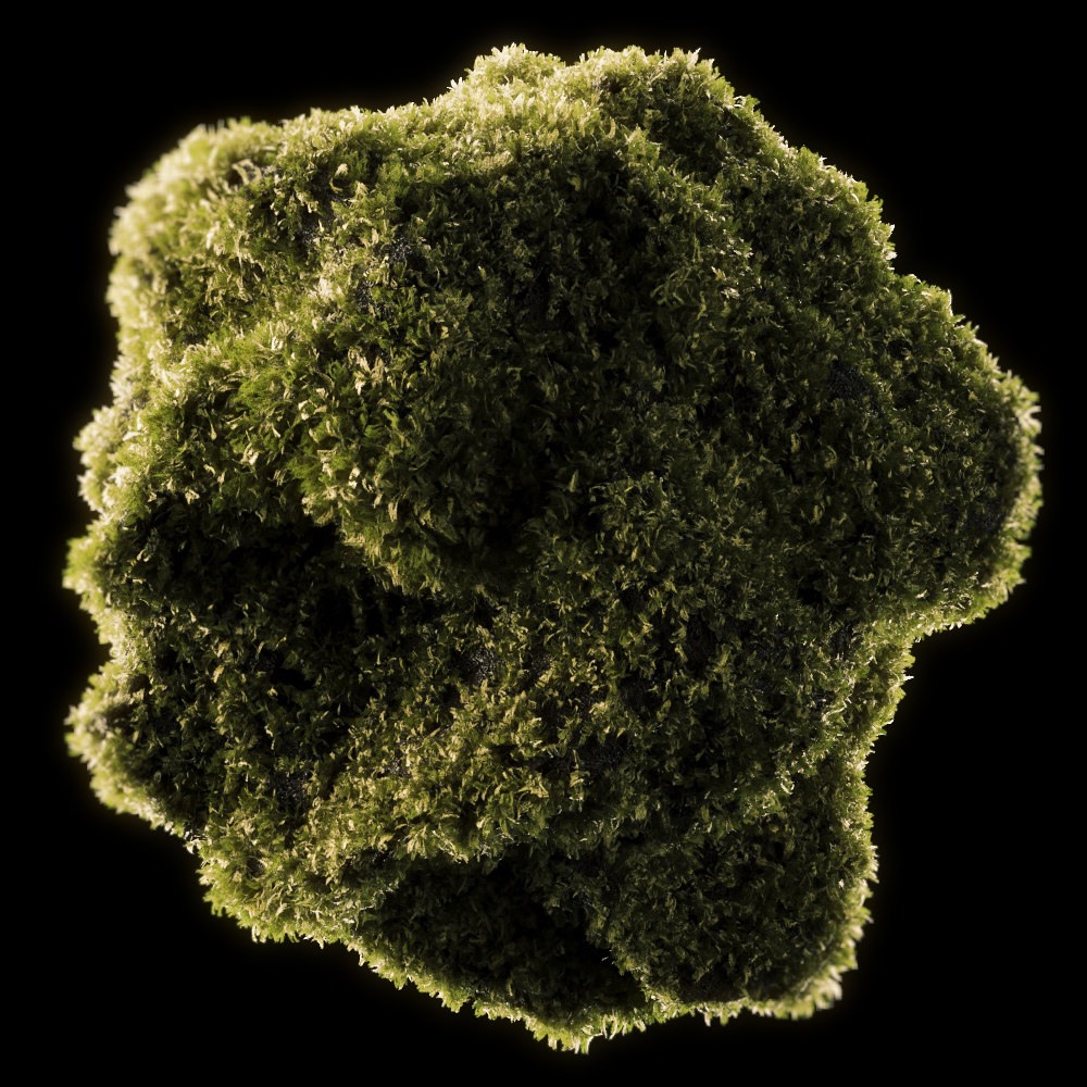 Moss 4 model - TurboSquid 1534995