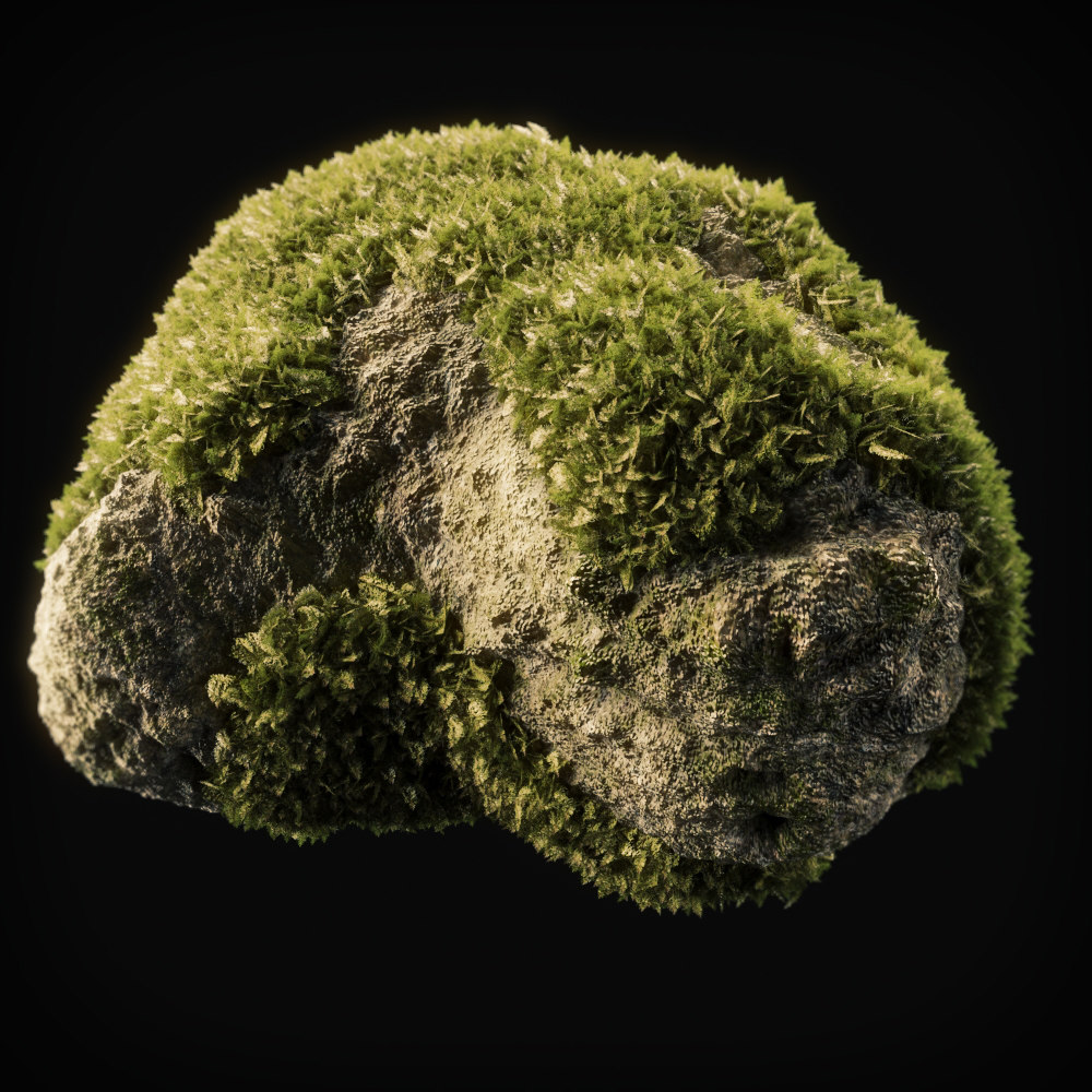 3D moss 8 - TurboSquid 1535005
