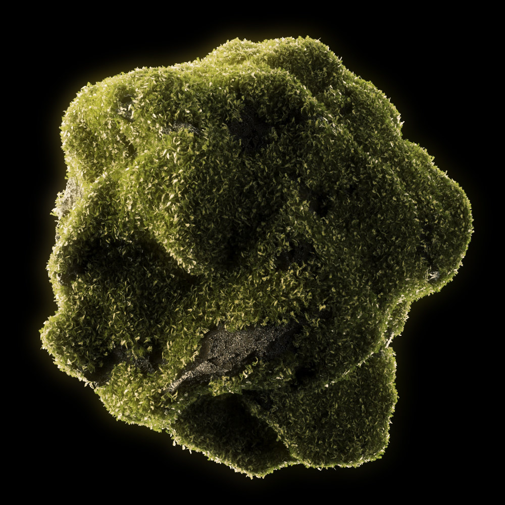 Moss 1 3D model - TurboSquid 1534986