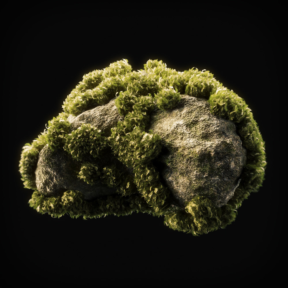 Moss 9 3D model - TurboSquid 1535007