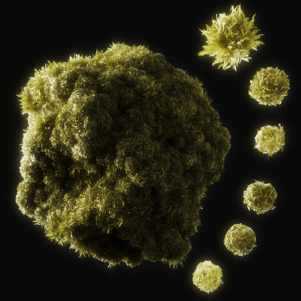 3d model moss normal maps