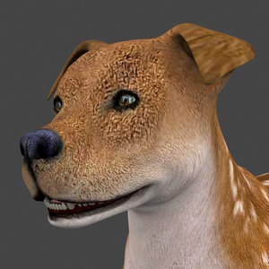 Dog Blender Models for Download | TurboSquid