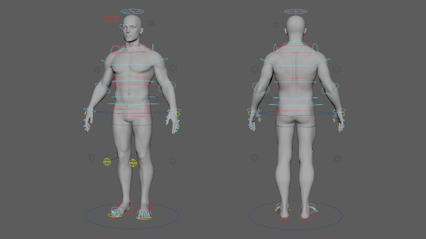 Athletic rigged human body 3D model - TurboSquid 1535126