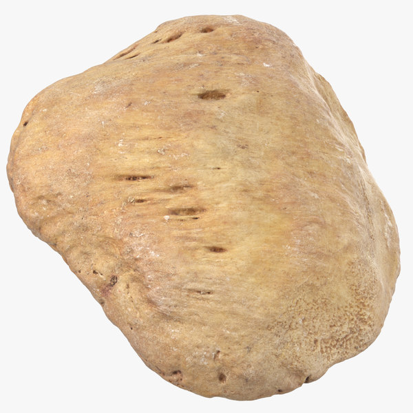 modelo 3d Rótula de hueso de rótula humana real 01 - TurboSquid 1535239