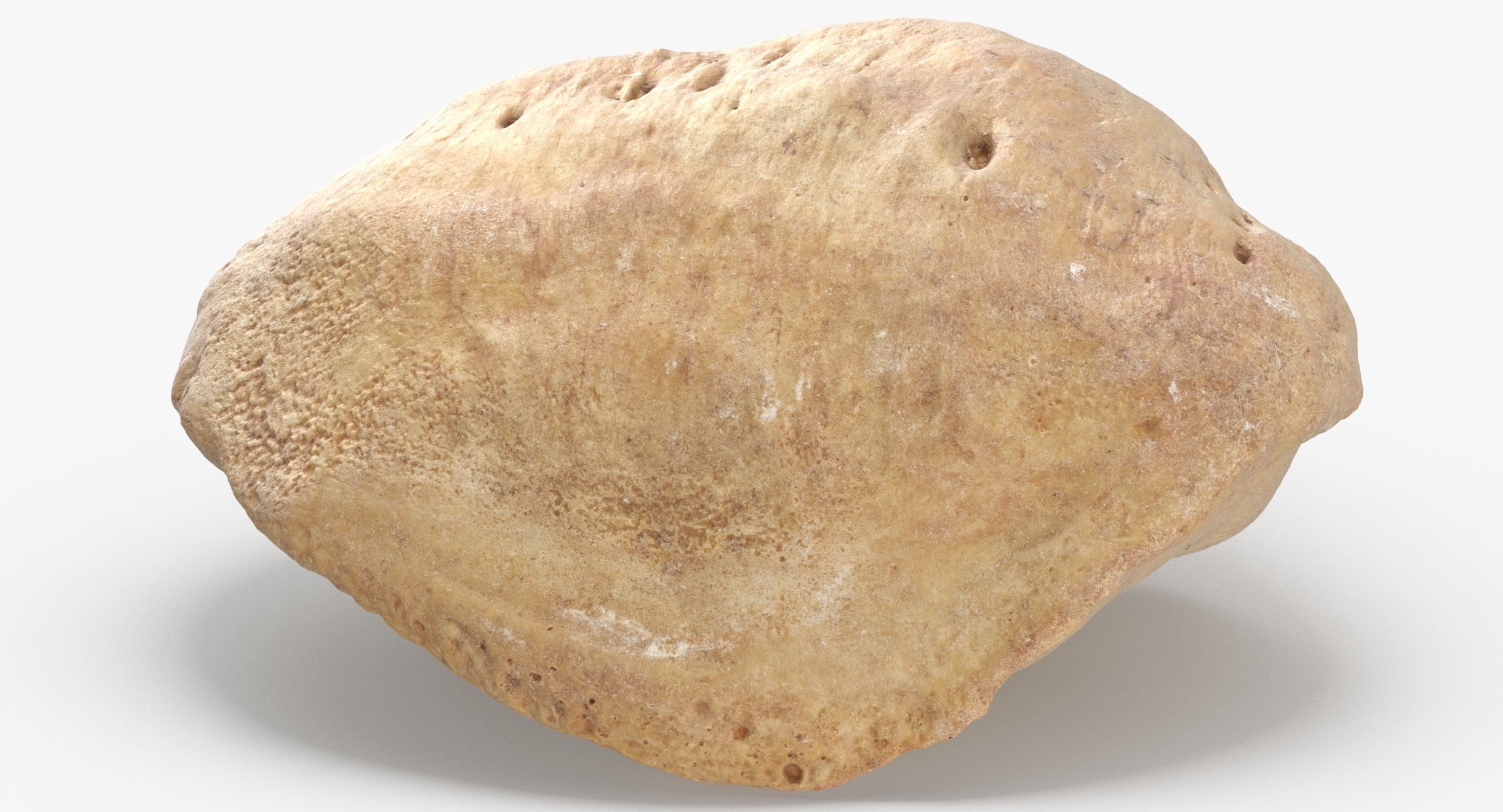 modelo 3d Rótula de hueso de rótula humana real 01 - TurboSquid 1535239