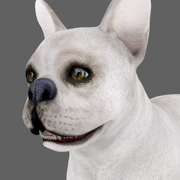 Animated Dog 3D Models for Download | TurboSquid