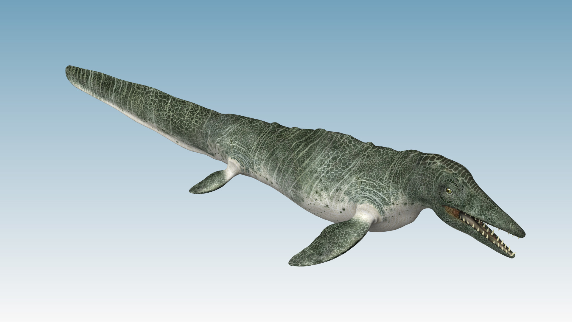 tylosaurus max