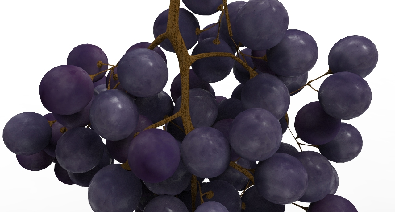 Grape 4 types 3D - TurboSquid 1535795