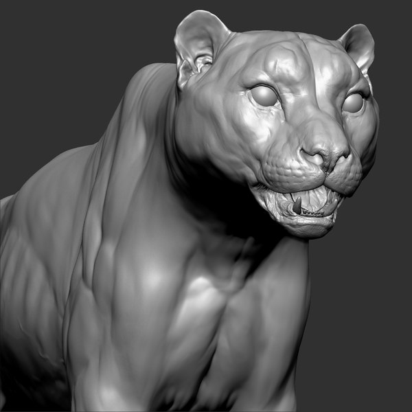 Leopard 3D Models for Download | TurboSquid