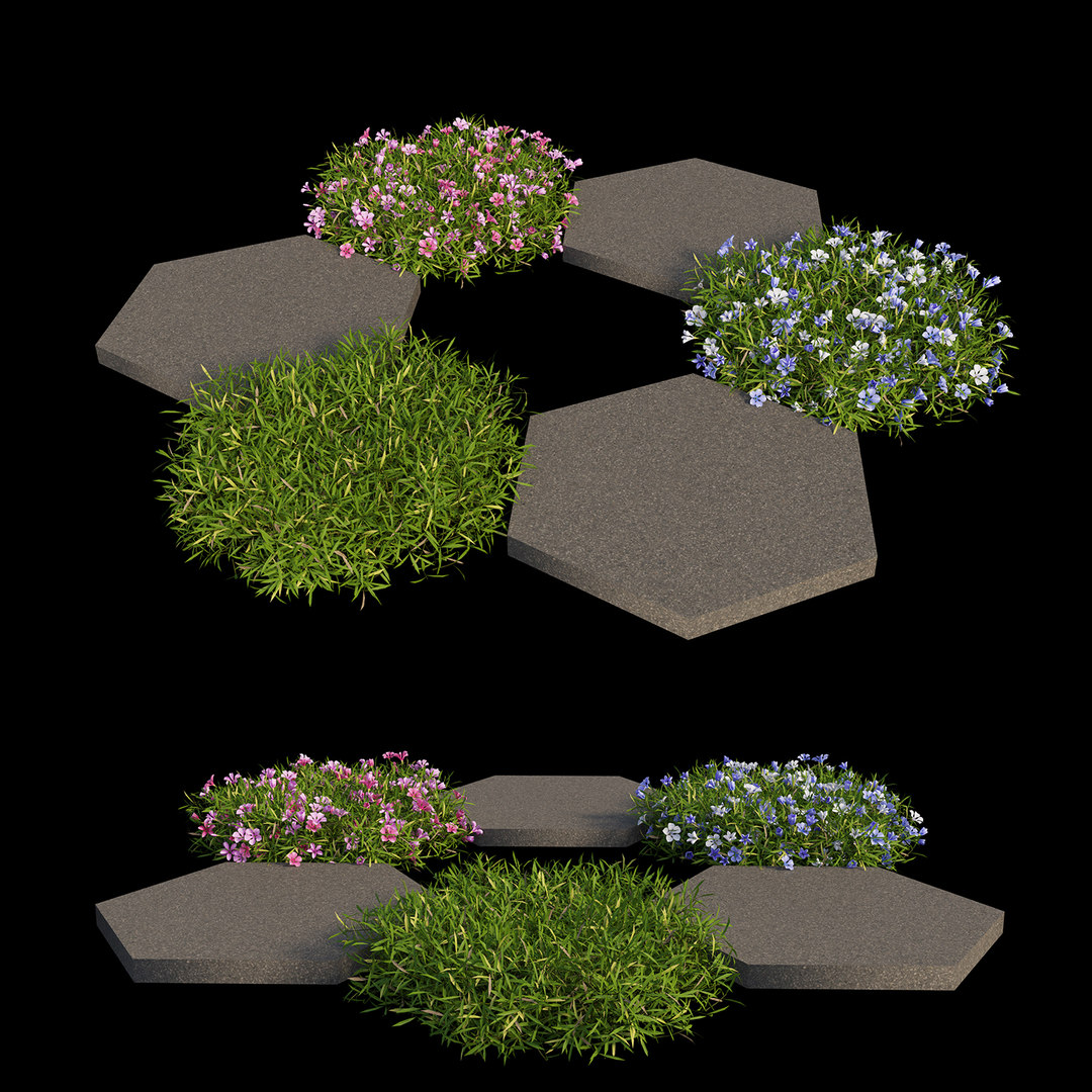 3D plant flower set 14 model - TurboSquid 1536535