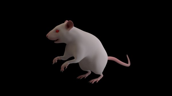 Maya Rat Rig Models | TurboSquid