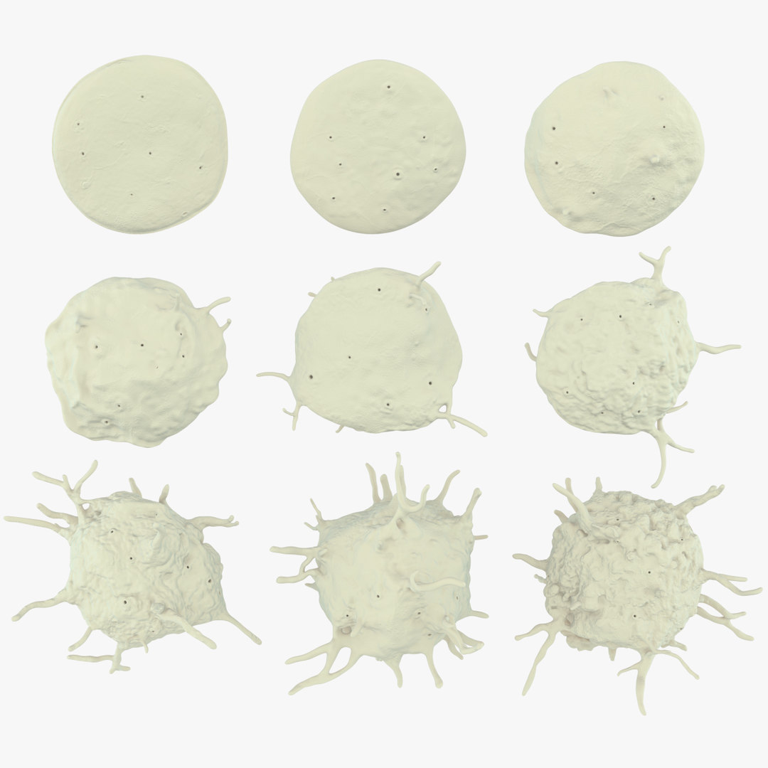 3D platelet blood cell - TurboSquid 1537151