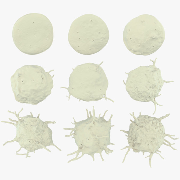 Blood 3D Models for Download | TurboSquid