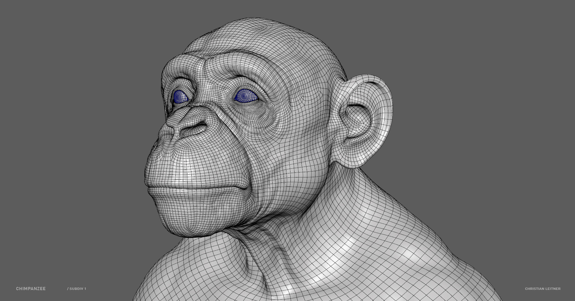 3D chimpanzee skeleton muscles - TurboSquid 1537142