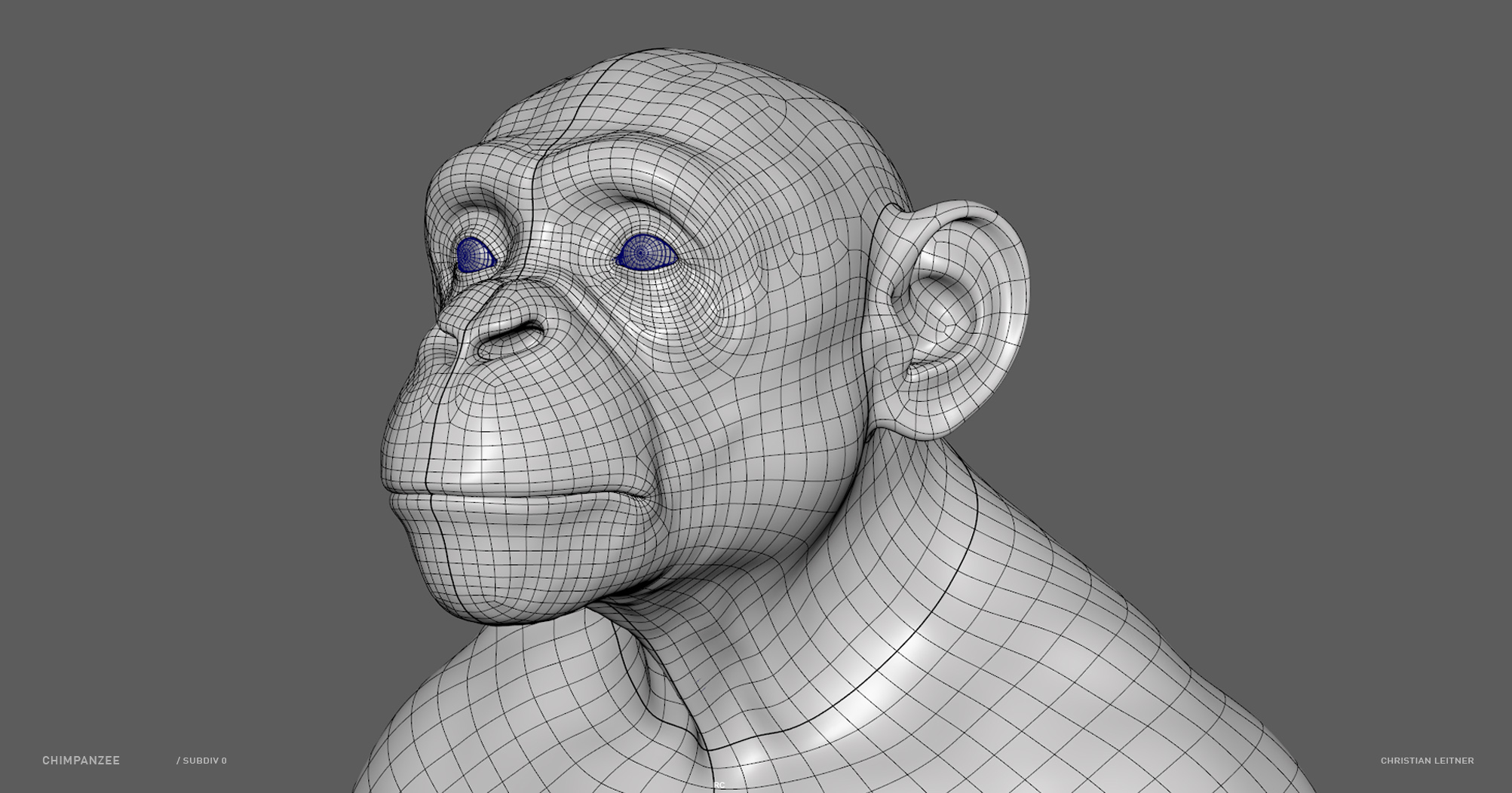 3D chimpanzee skeleton muscles - TurboSquid 1537142