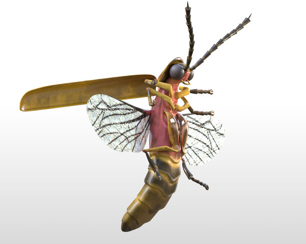 dragonfly 01 3d model