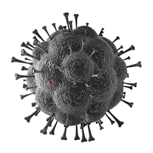 3d model of 6 tree trunk