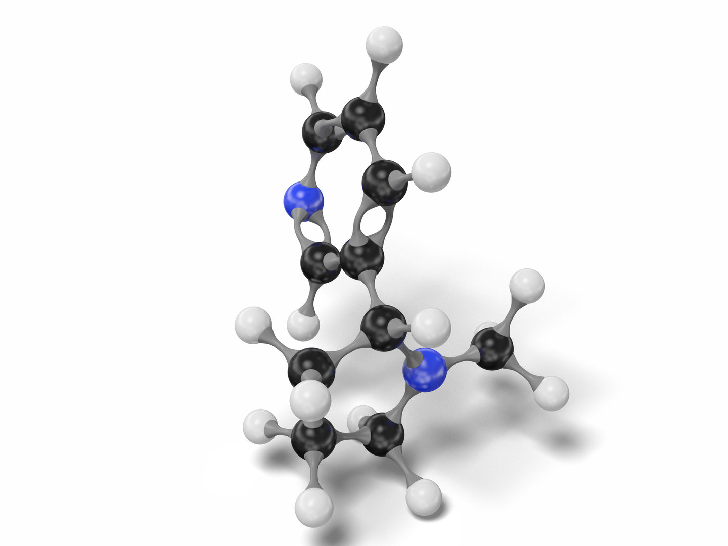 Nicotine molecule c10h14n2 modeled 3D model - TurboSquid 1537471